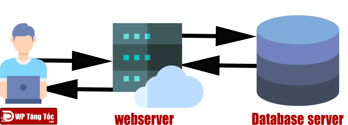 Hướng dẫn Remote database VPS/server dành cho WordPress